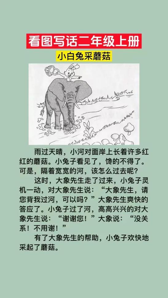 大象救小兔子的故事图标