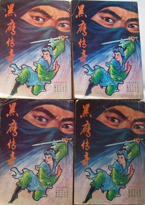 《黑鹰传奇》小说阅读