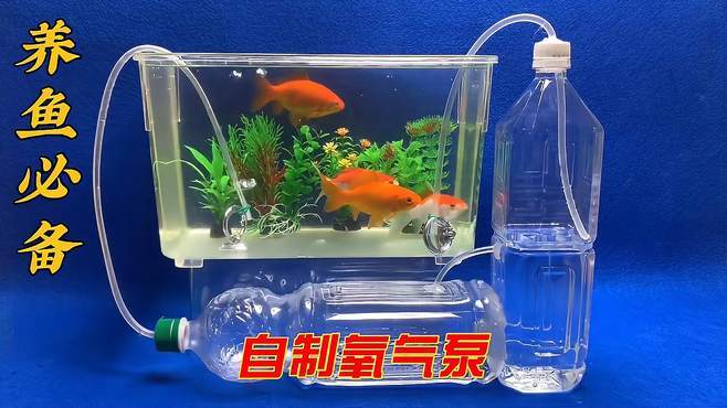 鱼缸循环水安装视频图标