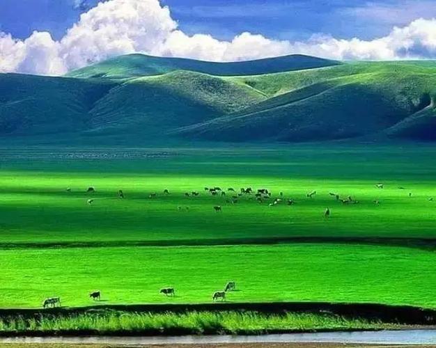 辉腾锡勒草原海拔图标