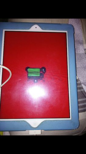 ipad屏幕有一条红线截图
