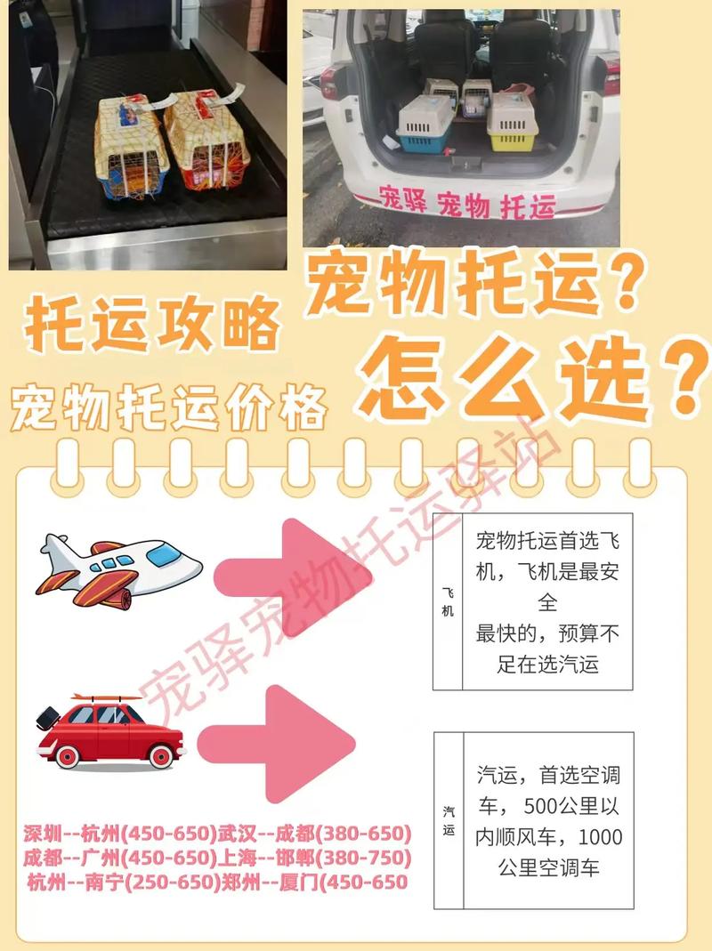 小猫托运大概要多少钱图标