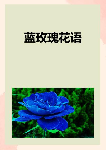 蓝色玫瑰代表的含义是什么图标