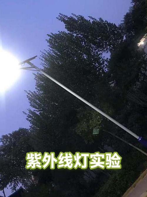 手机怎么照射紫光灯图标
