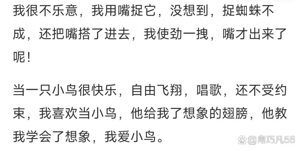 一只小鸟阅读短文答案图标