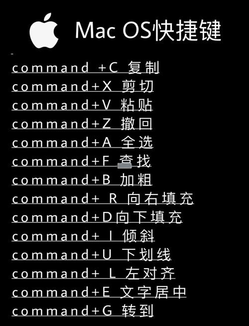 苹果电脑运行快捷键图标