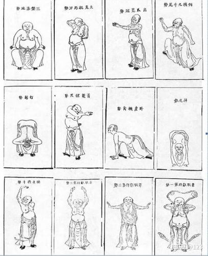 道家十二功法图标