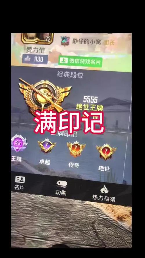 和平精英王牌印记20图标