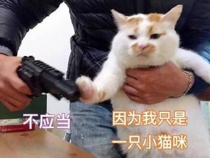 杀猫表情包图标