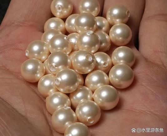 贝壳珠价格图标