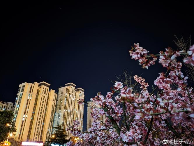 小米9拍夜景