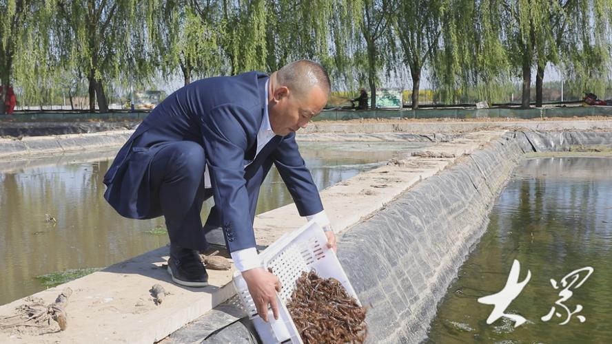 养虾一亩一年一般赚多少图标