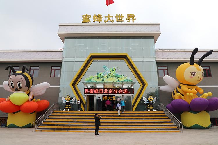 蜜蜂旅游网图标