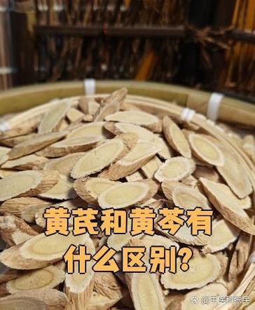 不同版本中药的区别图标