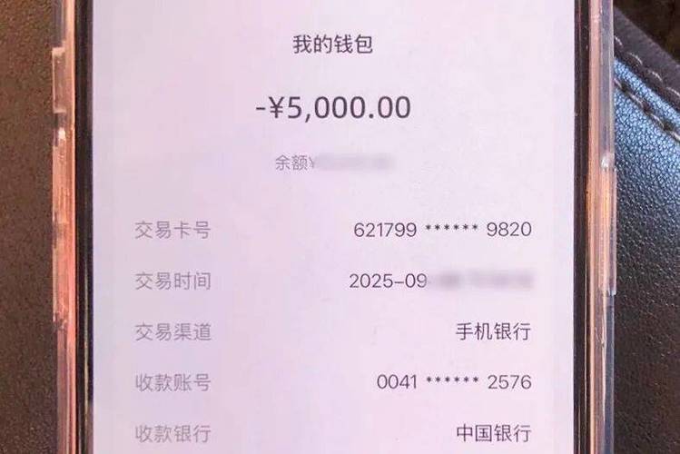 5000万可以实时转账吗截图