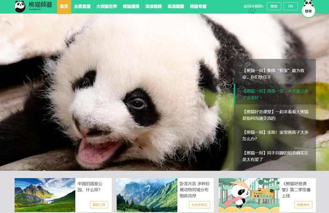 熊猫搜索官网截图
