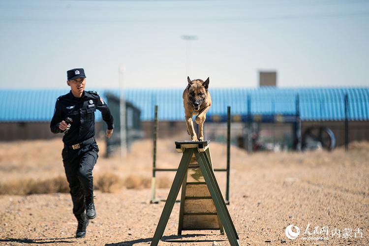刑警队长被警察训练成警犬后图标
