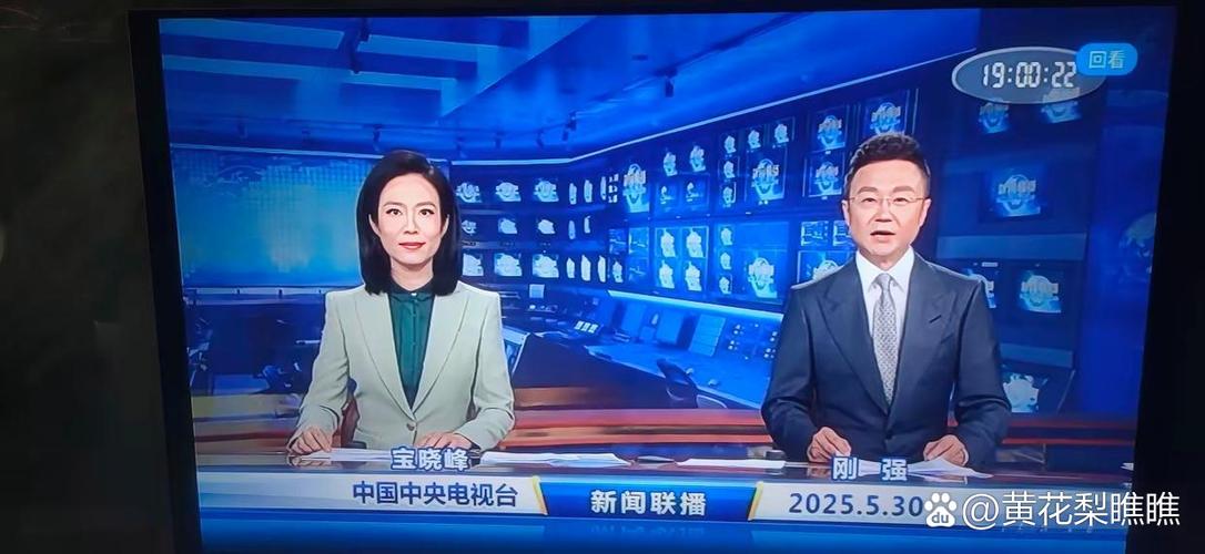 央视视频TV版图标