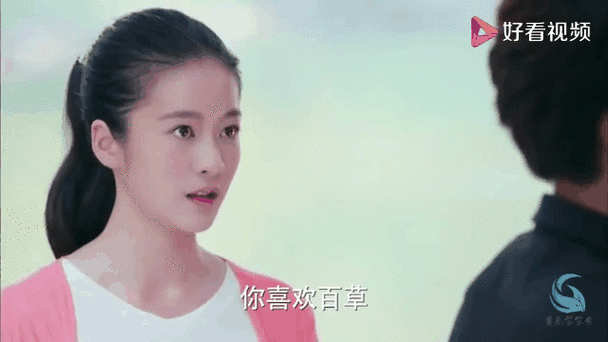 旋风少女txt图标
