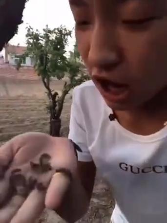 胜哥吃东西视频高清图标