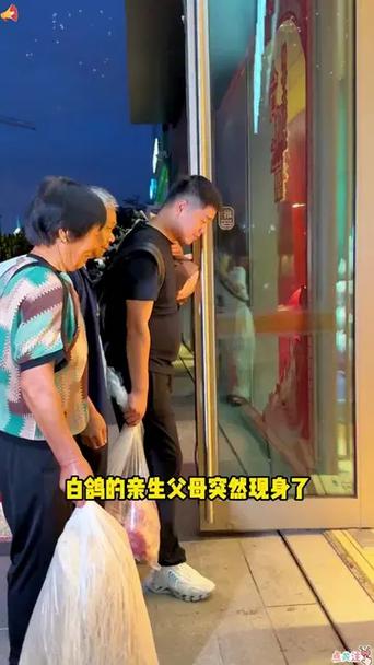 想找亲生父母去哪找图标
