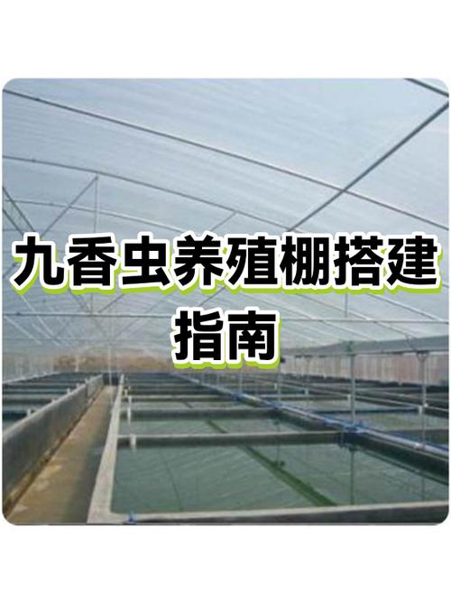 如何防止九香虫进屋截图
