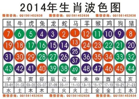 今晚出什么生肖准一点图标