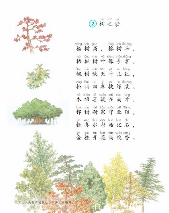 二年级树的课文图标