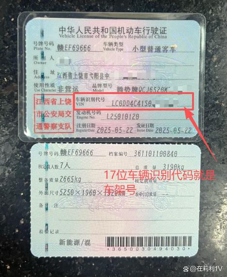 车牌号查询车架号图标