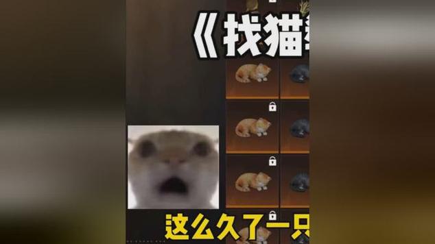 和平地铁猫咪可以交换吗缩略图