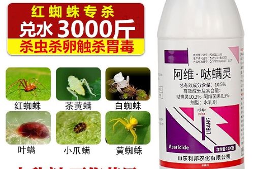 杀蜘蛛用什么药图标