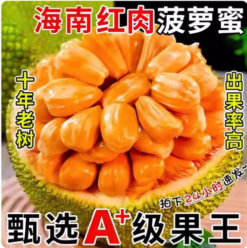 他把橙色给了菠萝后面怎么写截图