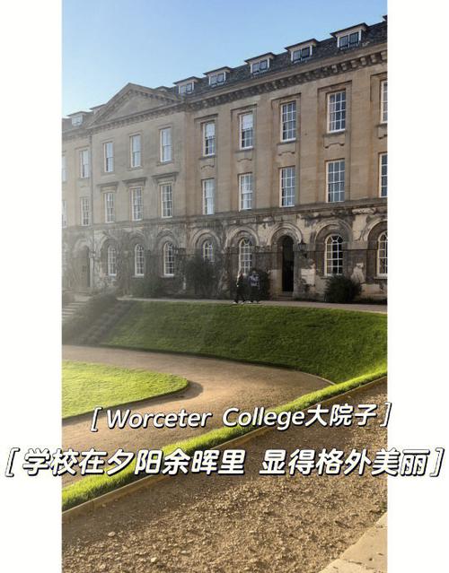 college破解版图标