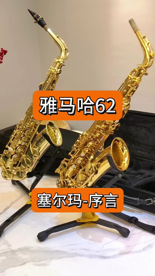 塞尔玛萨克斯截图