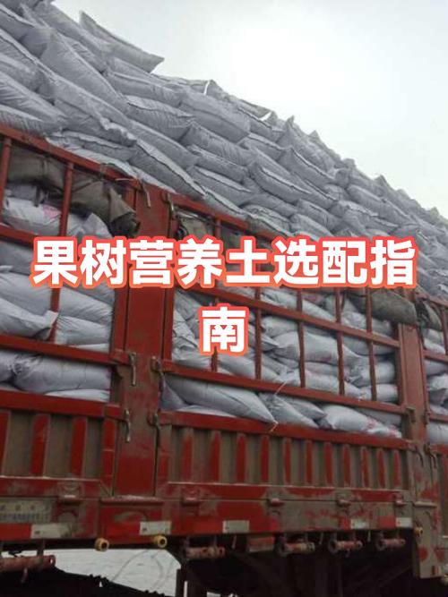 果树种植的最佳搭配图标