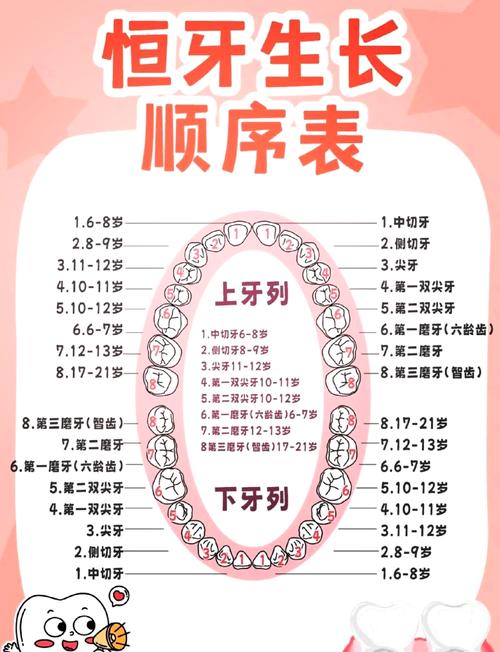 6岁儿童恒牙长出来旧牙还没掉截图