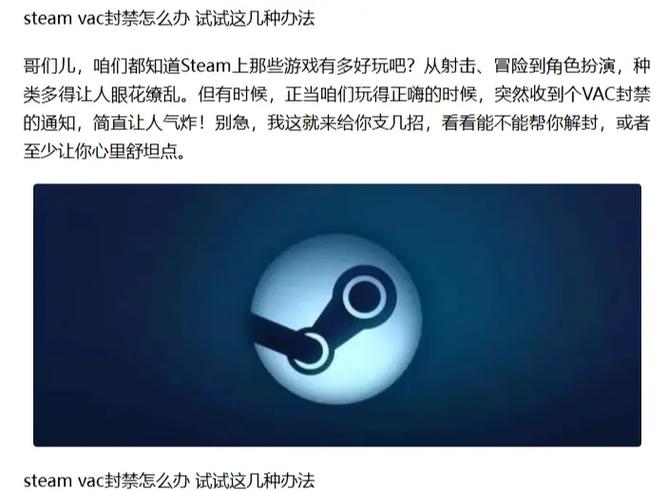 steam被vac封怎么办图标
