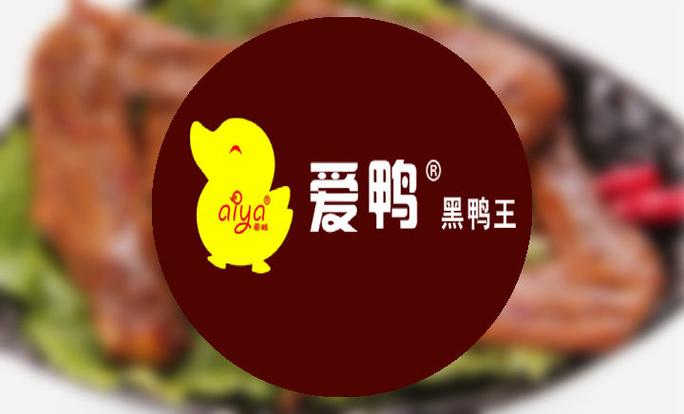 一个鸭子头的标志是什么牌子图标