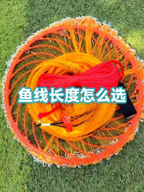 鱼线和鱼竿的长度比例截图