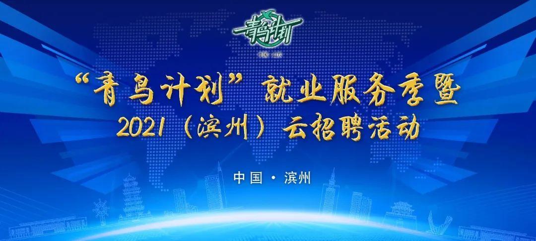 滨州人才网招聘网最新招聘图标