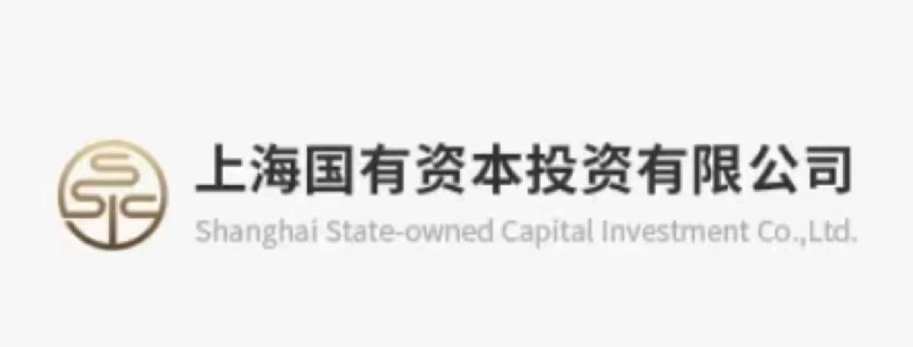 十大资本投资公司截图