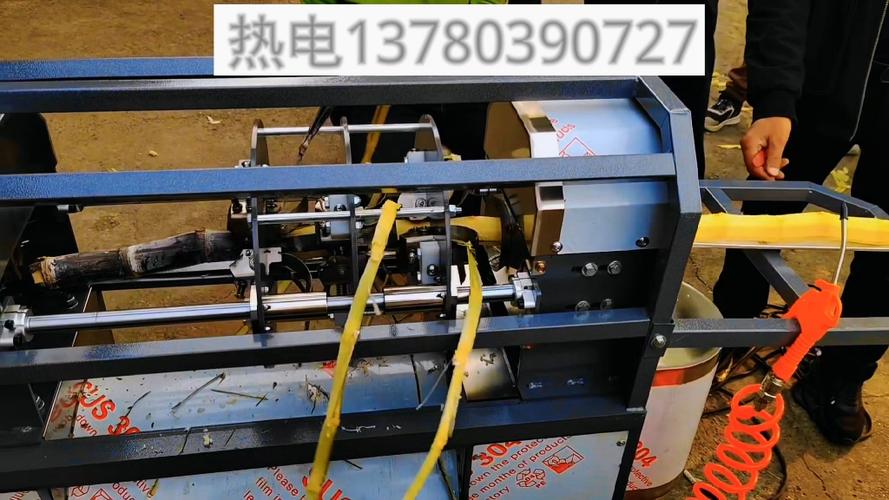 全自动甘蔗削皮机视频图标