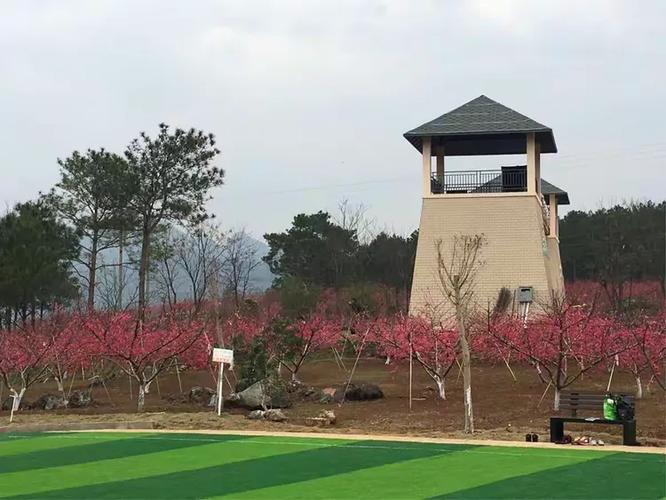 连州龙潭百果庄园图标