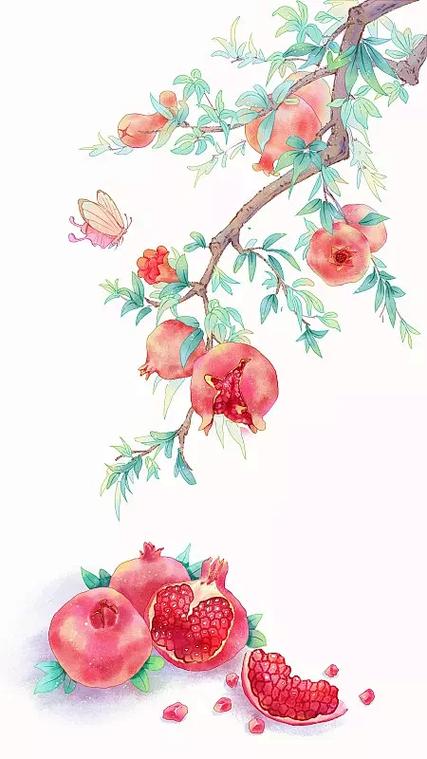石榴图片绘画图标