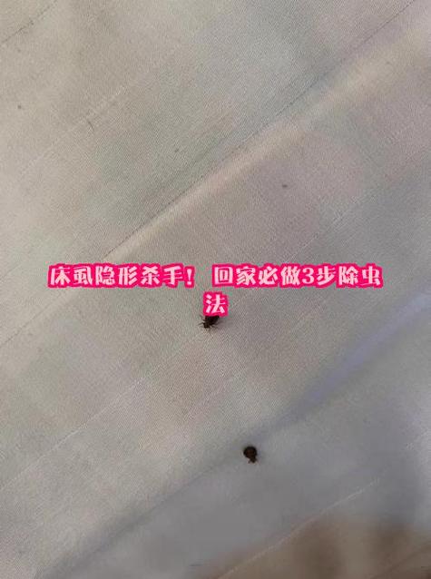 床上有床虱怎么快速去除图标