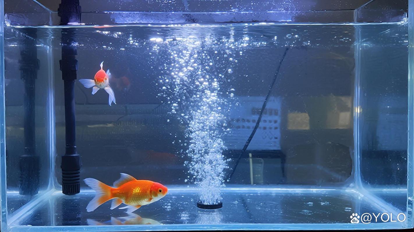 鱼缸水面有泡沫图标