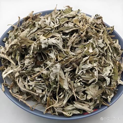 为什么艾叶越陈越好