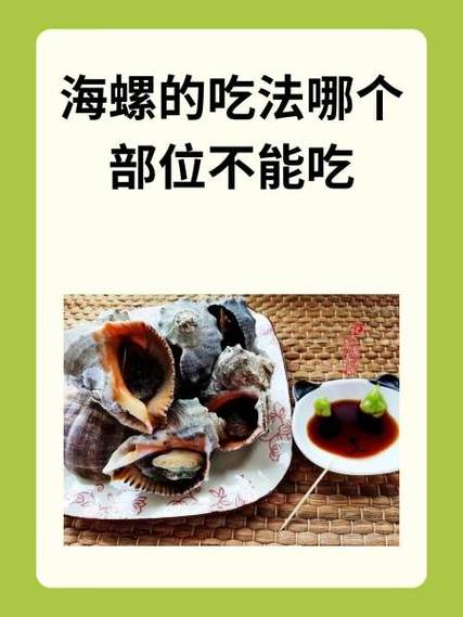 海螺不能吃部位详解图视频图标