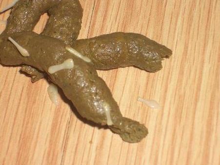 《parasitied》在线观看完整版缩略图