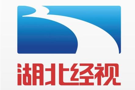 湖北经视视频图标